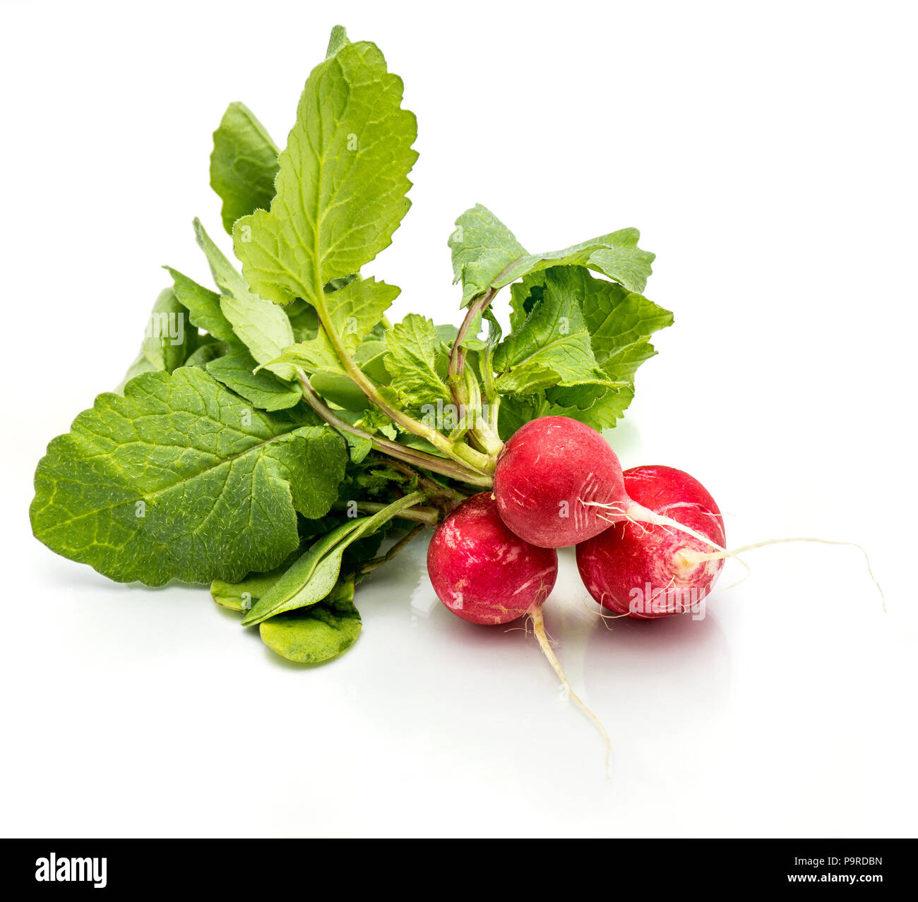 Three whole red radish with fresh green leaves isolated on white ...