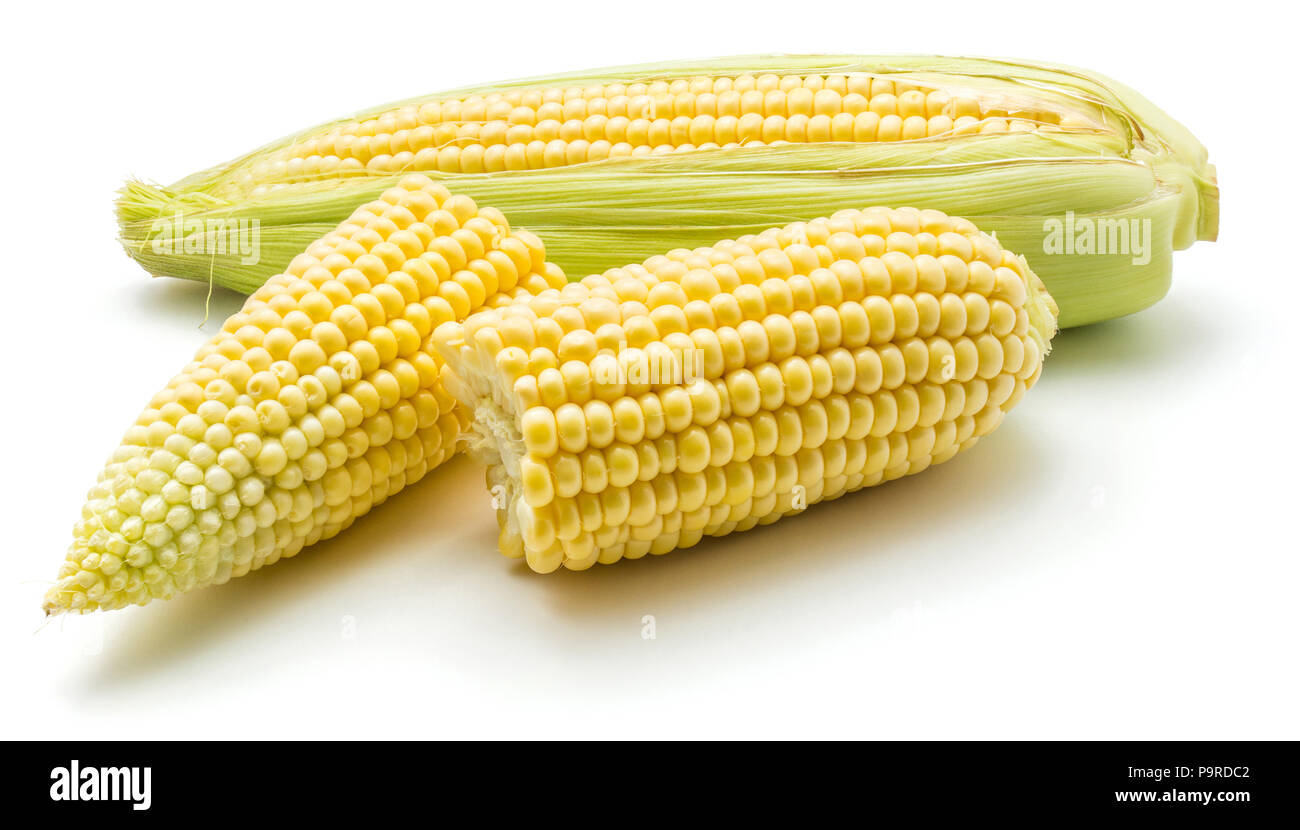 Two halves of broken sweet corn and one whole isolated on white ...