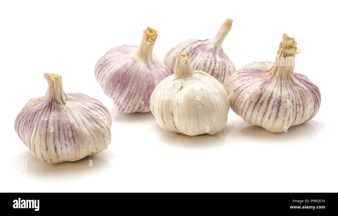 Garlic isolated on white background five whole bulbs Stock Photo - Alamy