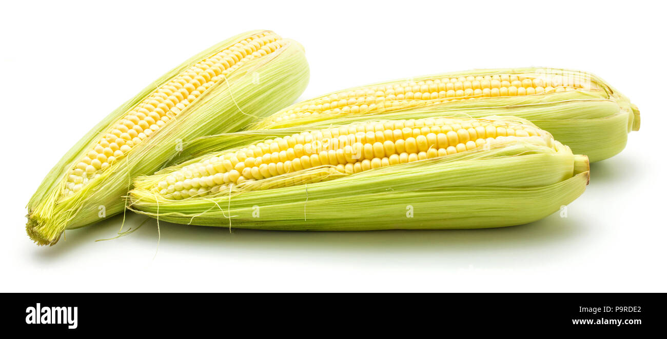 Group of three fresh corn ears isolated on white background Stock Photo ...