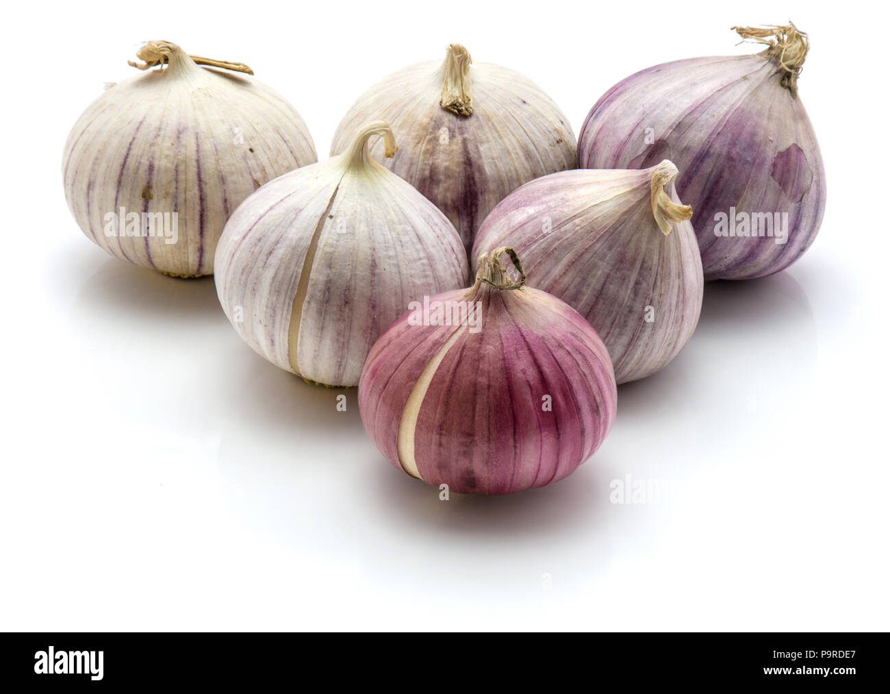 Solo garlic folded in triangle isolated on white background single ...