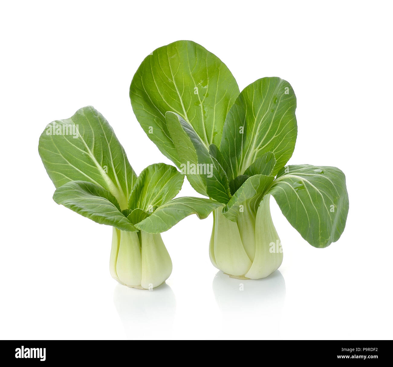 Bok choy (chinese cabbage) isolated on white Stock Photo - Alamy