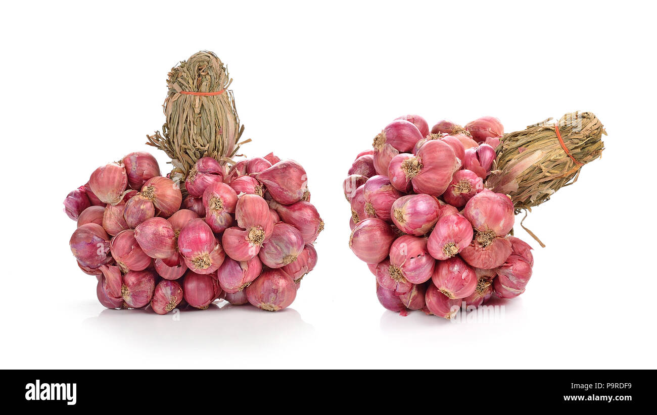 Allium ascalonicum hi-res stock photography and images - Alamy