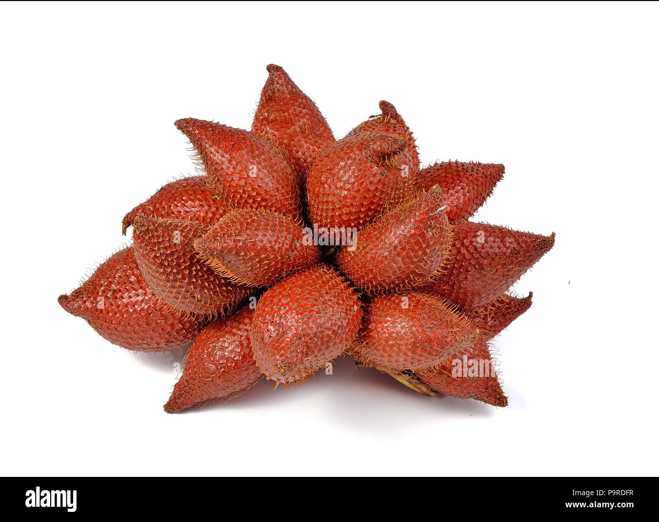 Salacca zalacca on white hi-res stock photography and images - Alamy