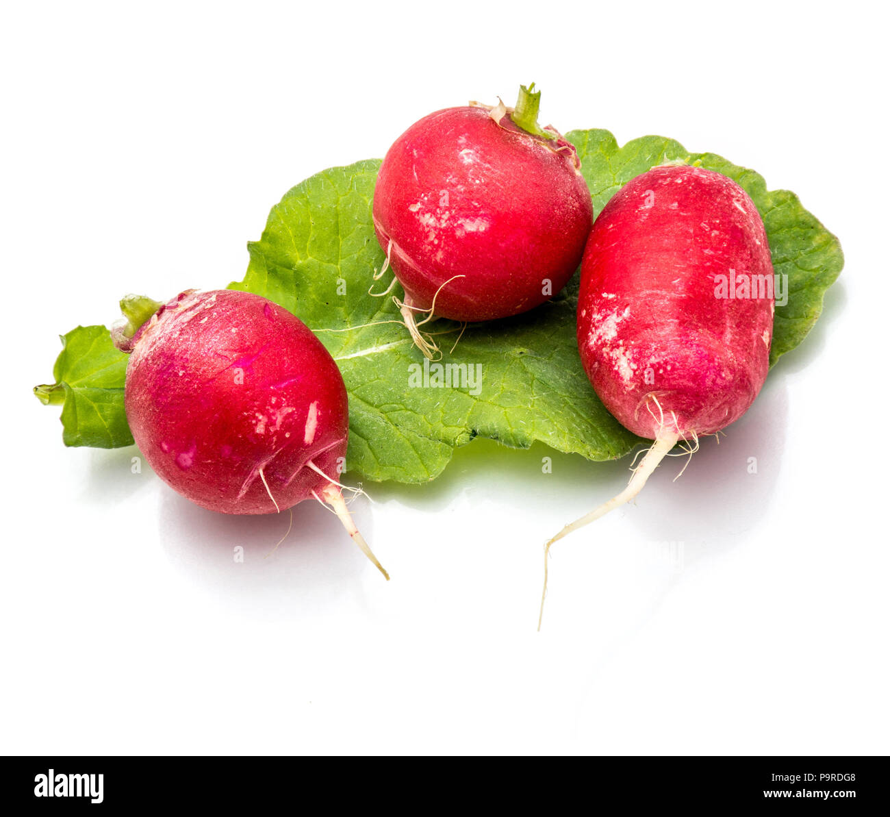 Three bulbs of red radish on fresh green leaf isolated on white ...