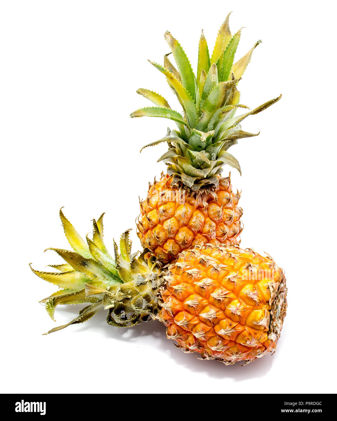 Two whole pineapples isolated on white background Stock Photo - Alamy