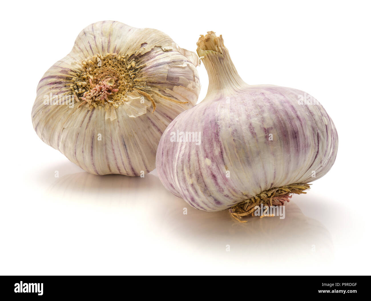 Garlic isolated on white background two whole bulbs Stock Photo - Alamy