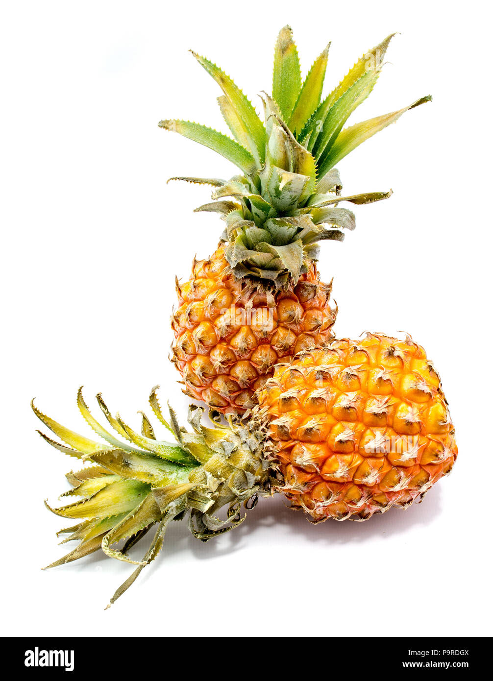 Two whole pineapples isolated on white background Stock Photo - Alamy