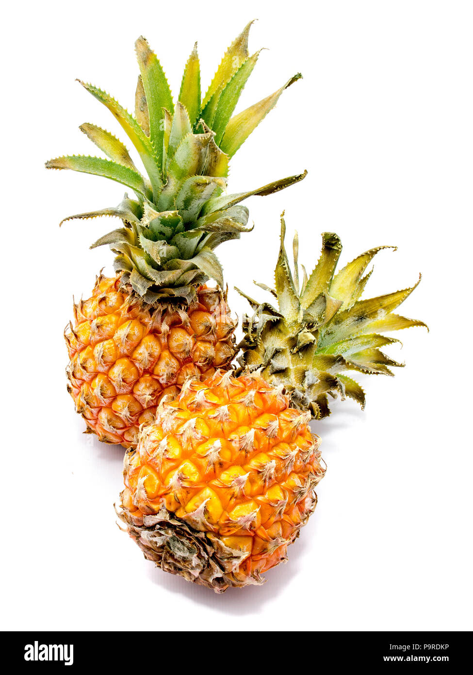 Two whole pineapples isolated on white background Stock Photo - Alamy