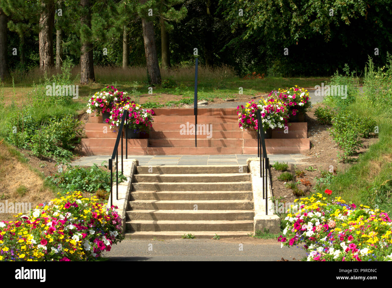 Stairs and flowers Stock Photo - Alamy