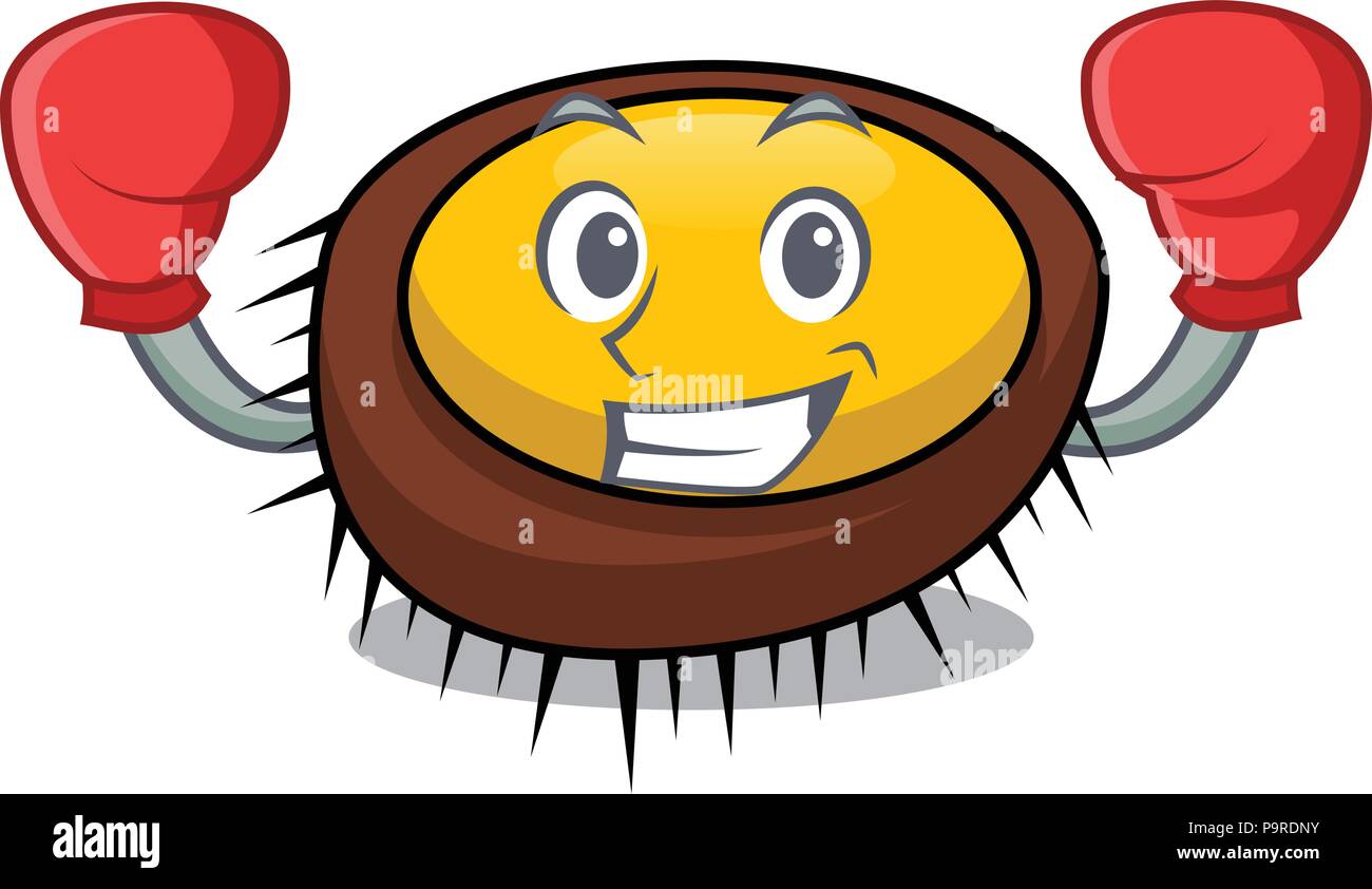 Sea urchin shell beach Stock Vector Images - Alamy