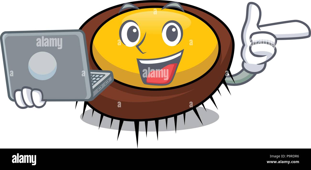 With laptop sea urchin character cartoon Stock Vector Image & Art - Alamy