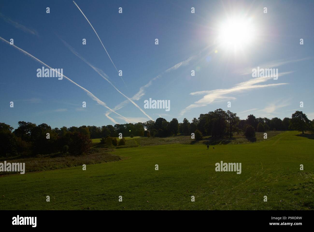 Landscapes , Flowers and wildlife Stock Photo - Alamy