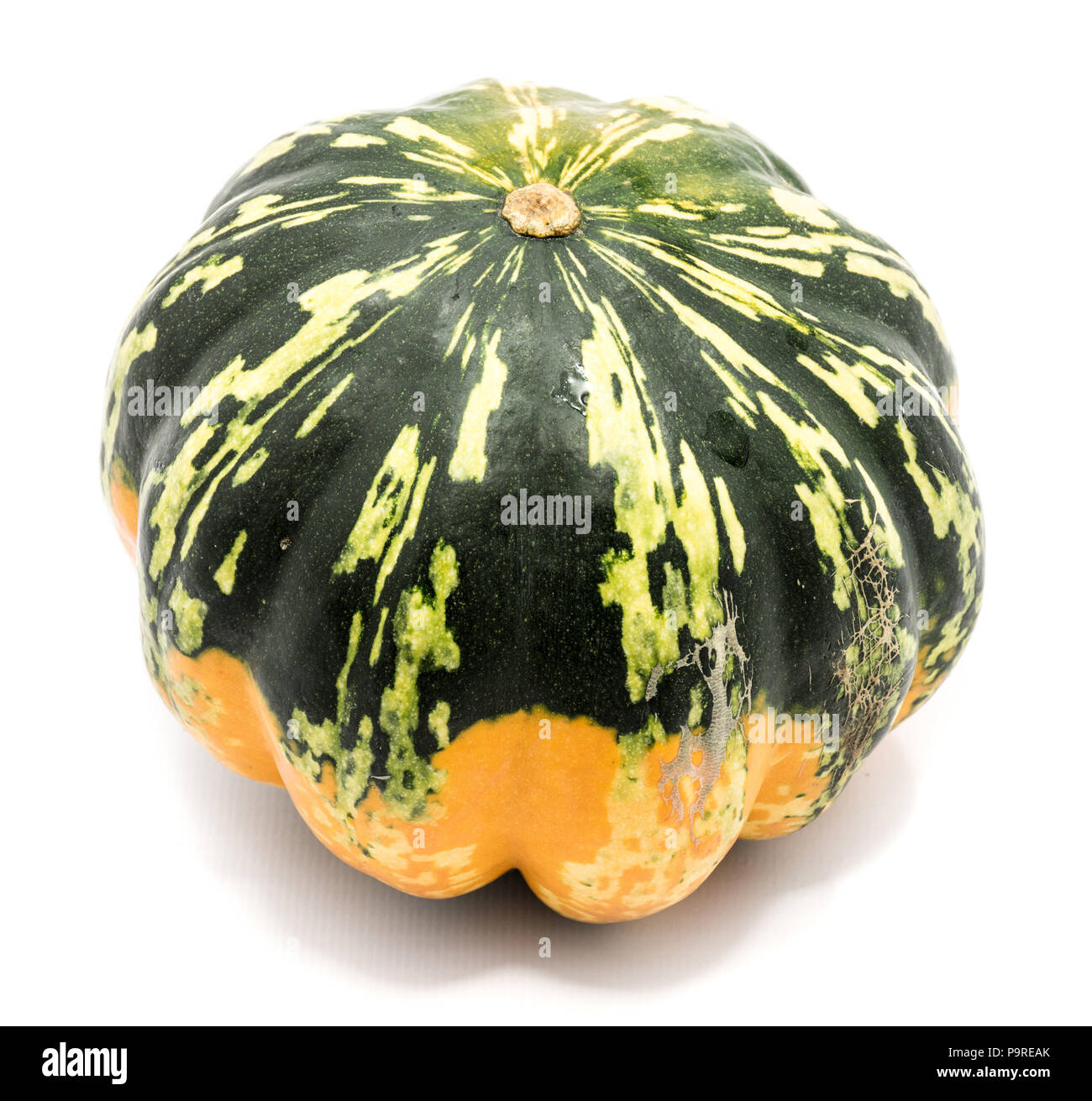 One whole colorful pumpkin (spotty dark green yellow) isolated on white ...
