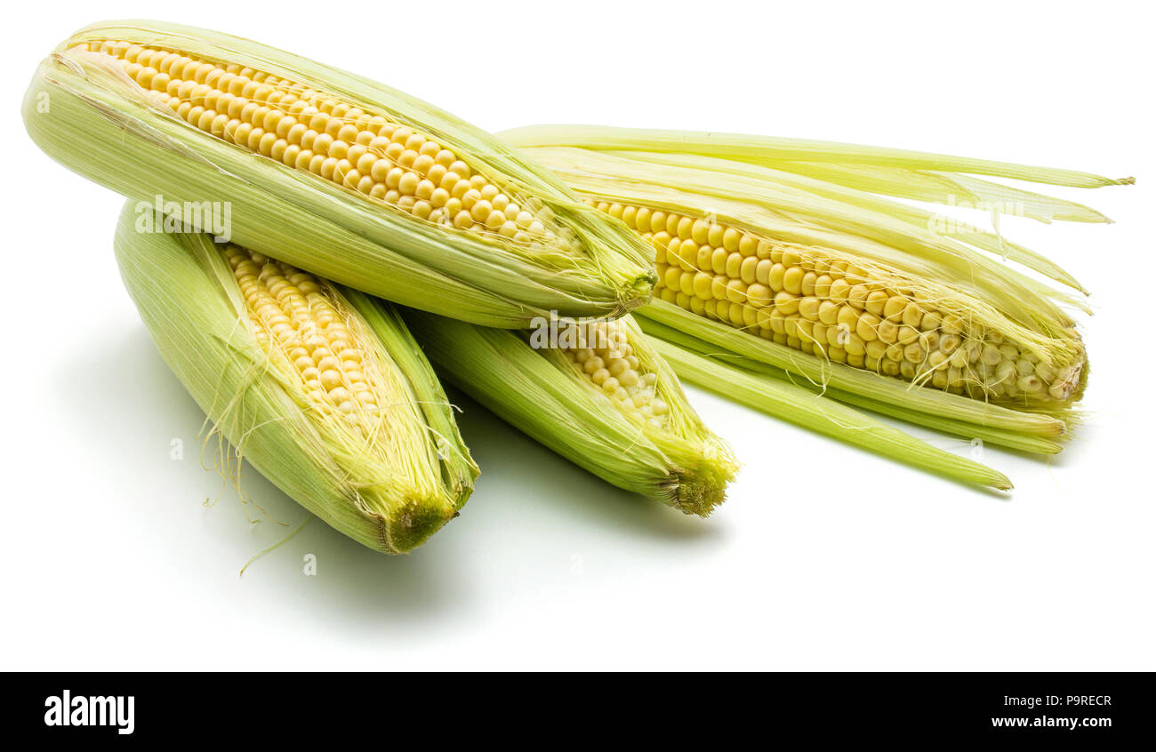 Group of four sweet corn isolated on white background Stock Photo - Alamy