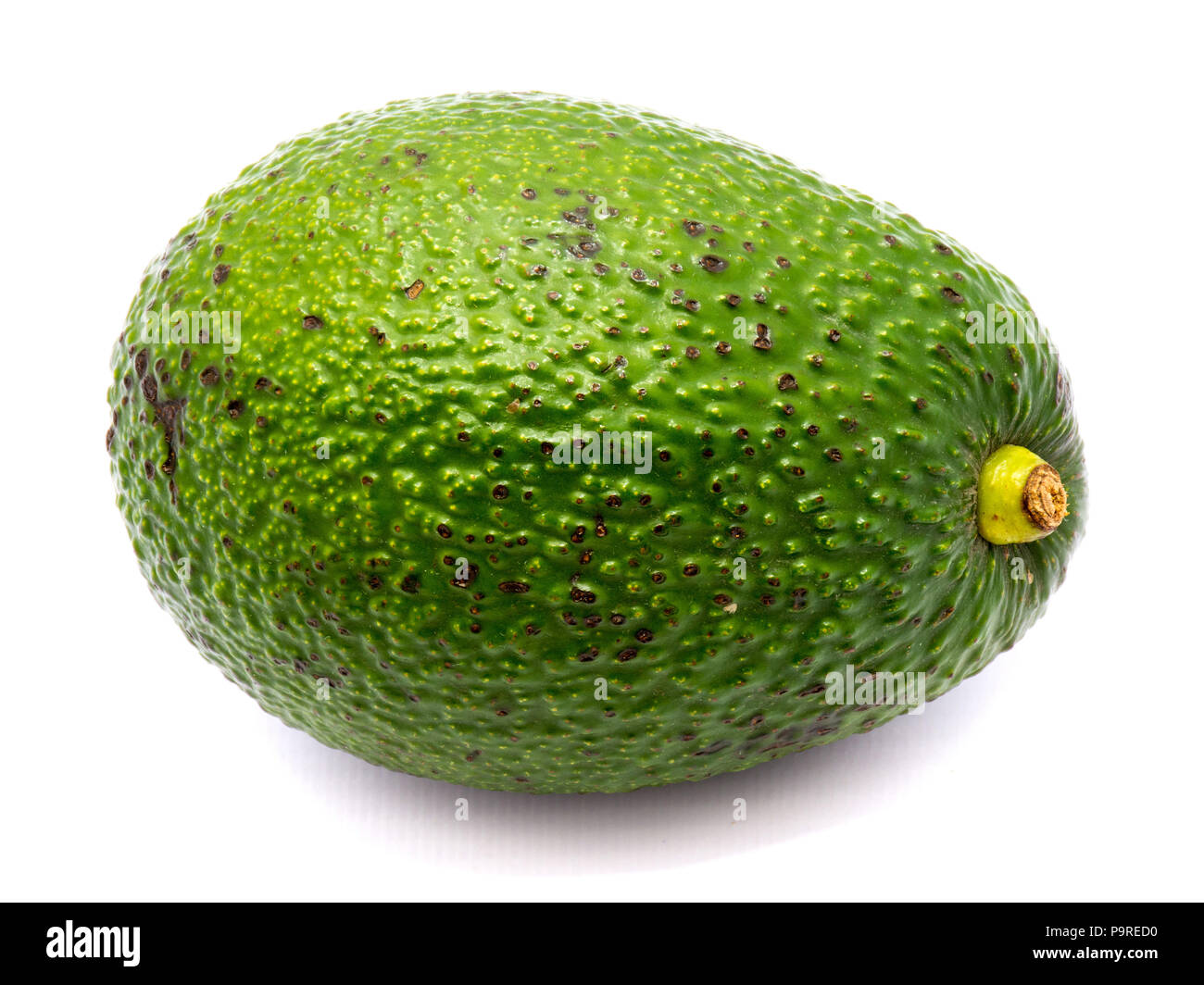 One whole avocado (Persea americana, alligator pear) isolated on white ...