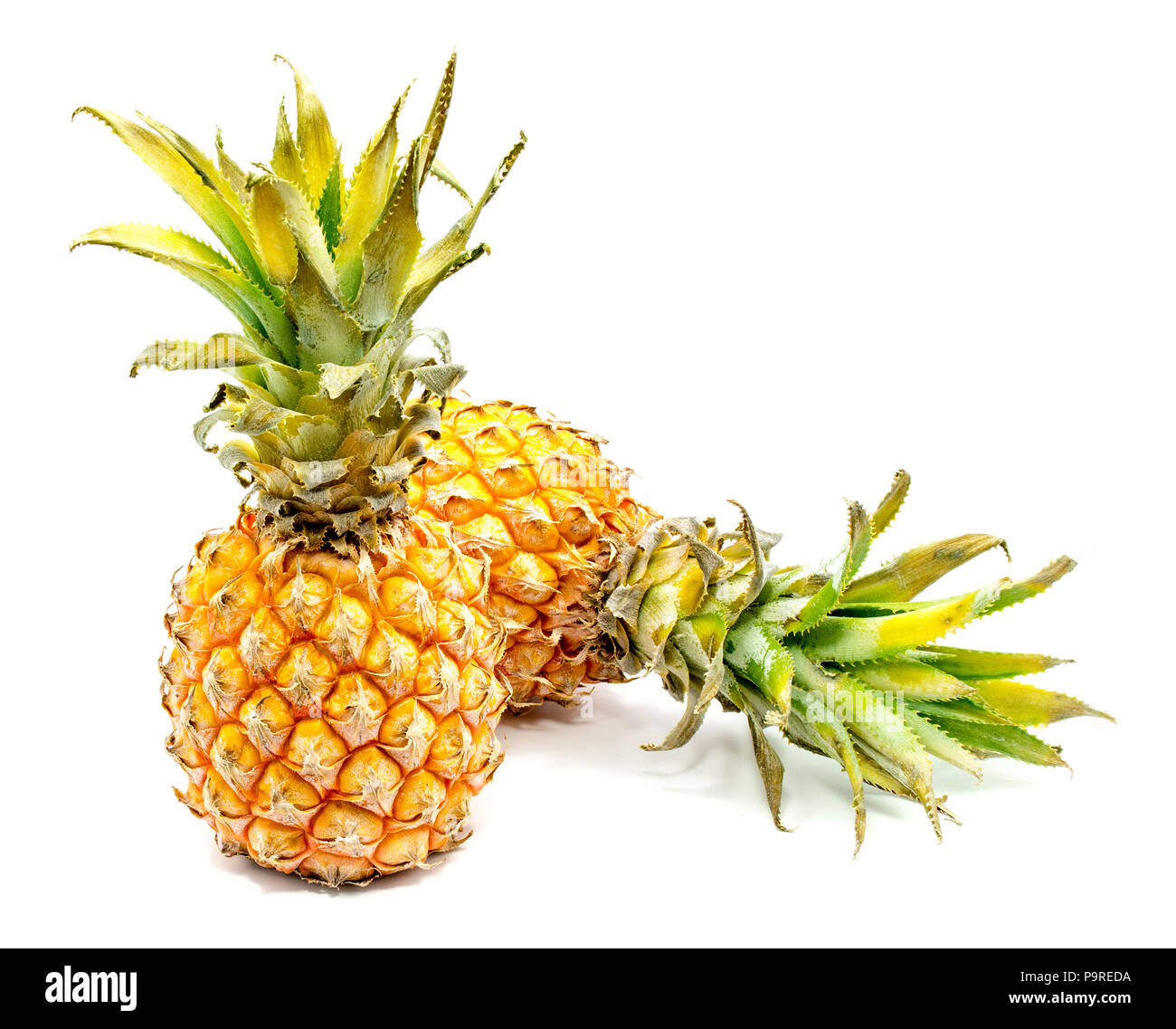 Two whole pineapples isolated on white background Stock Photo - Alamy