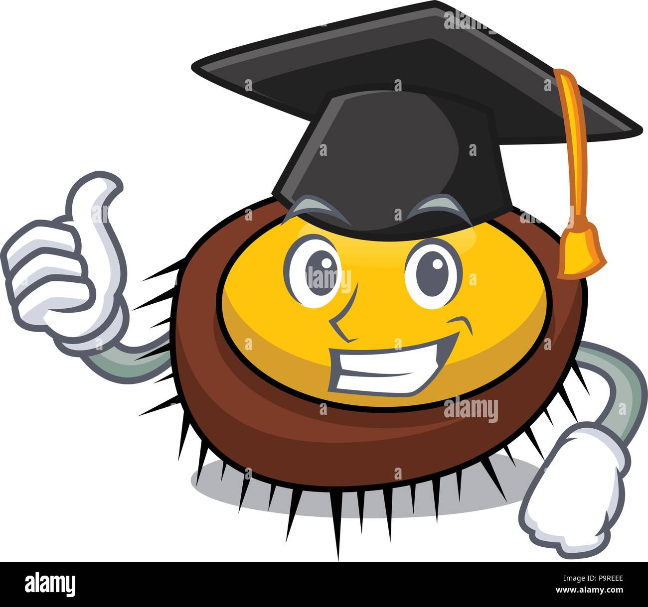 GraduationGraduation sea urchin character cartoon Stock Vector Image ...