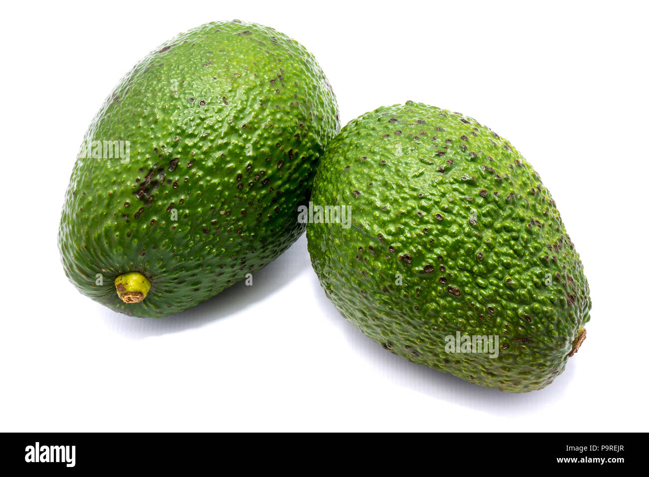 Aguacate persea americana hi-res stock photography and images - Alamy