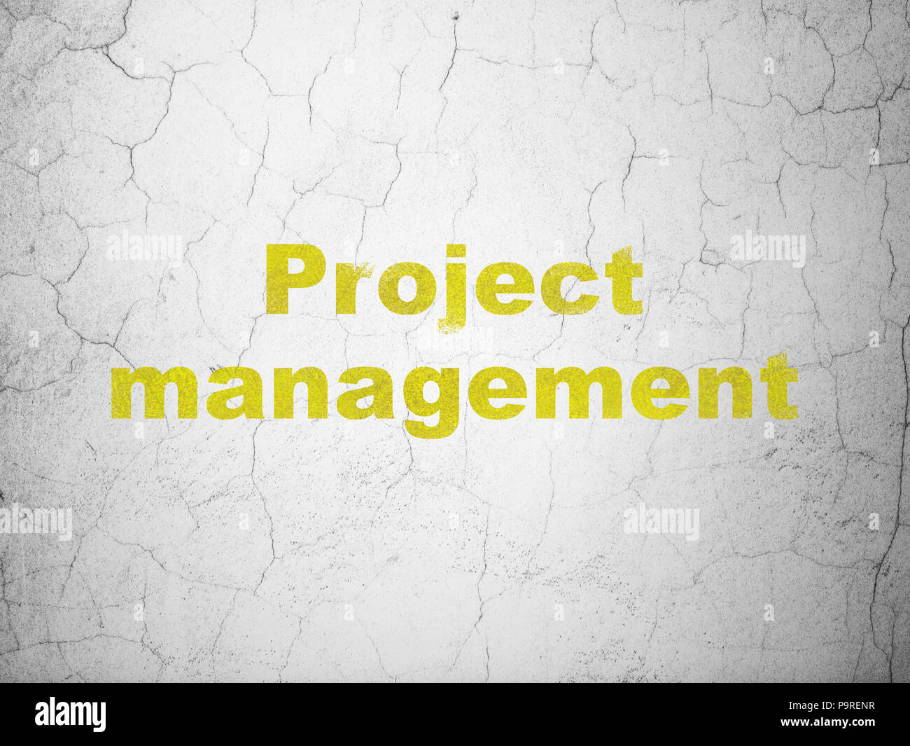 Business concept: Yellow Project Management on textured concrete wall ...