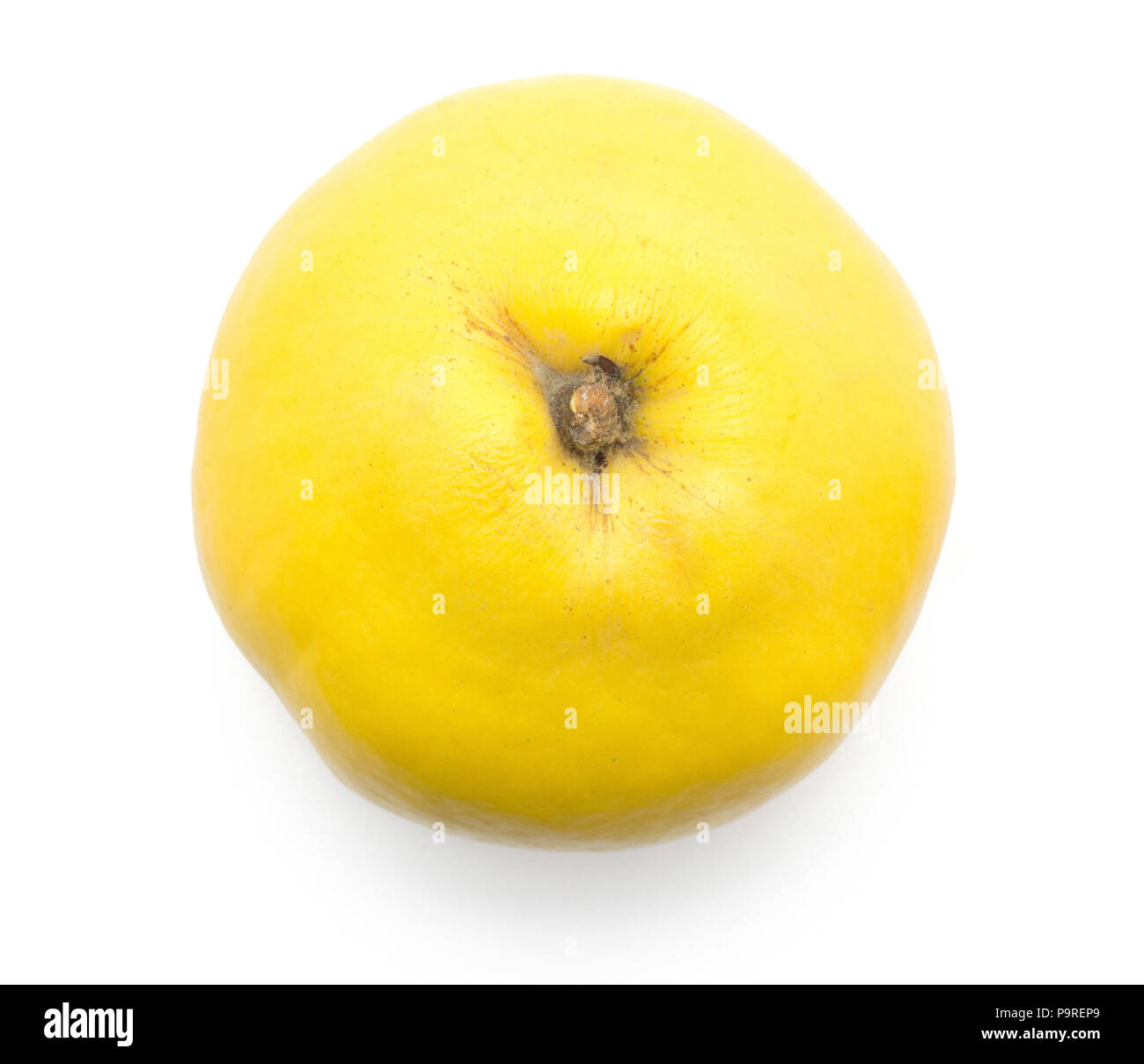 Yellow quince top view isolated on white background ripe raw fresh ...