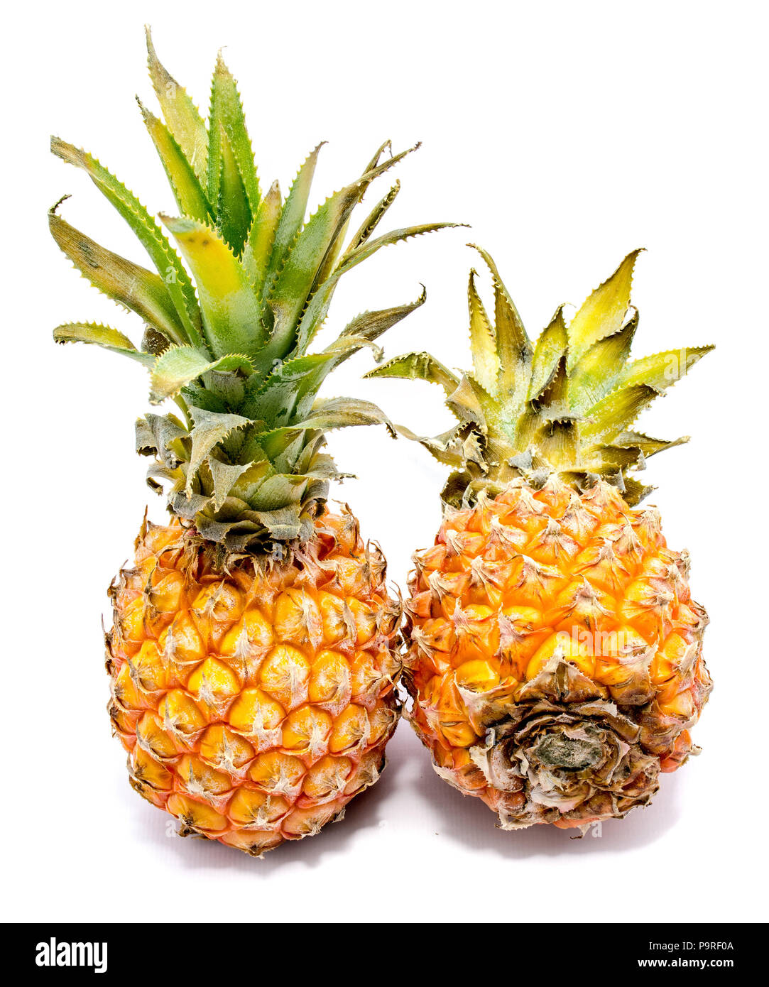 Two whole pineapples isolated on white background Stock Photo - Alamy