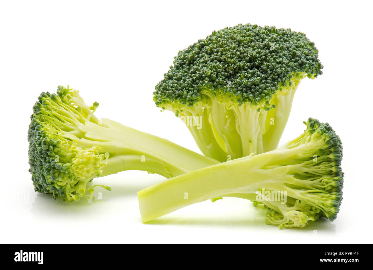 Fresh broccoli isolated on white background one tree like and two ...