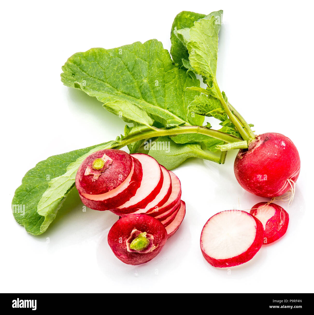 One bulb of red radish with leaves, slices, cut in circles, isolated on ...