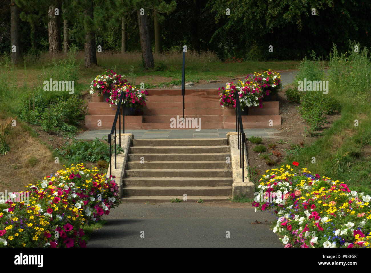 Stairs and flowers Stock Photo - Alamy