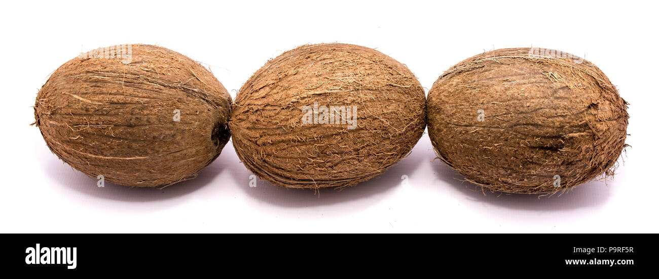 Three whole coconuts in line isolated on white background Stock Photo ...