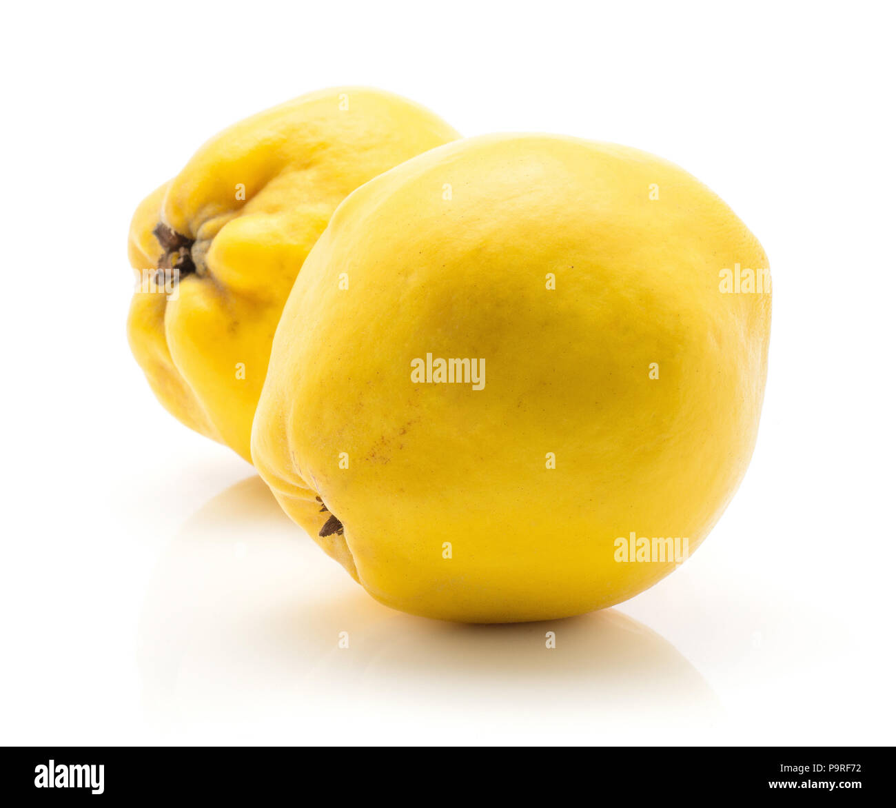 Two quinces isolated on white background raw ripe yellow Stock Photo ...