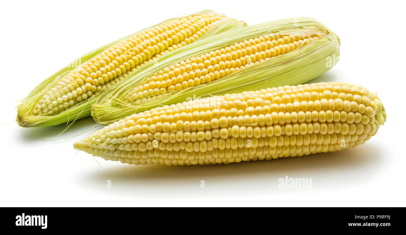 Group of three fresh corn ears isolated on white background Stock Photo ...