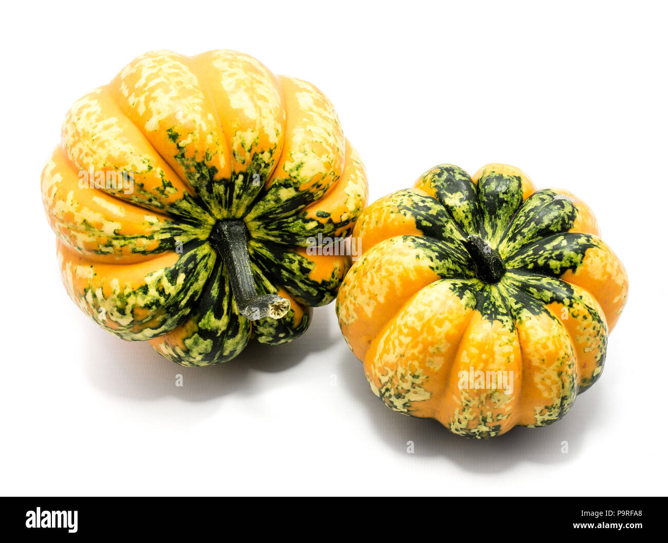 Two whole colorful pumpkin (spotty green yellow) isolated on white ...