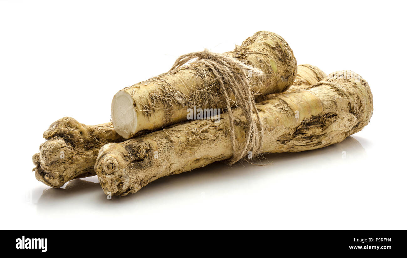 Fresh horseradish root tied by rope isolated on white background Stock ...