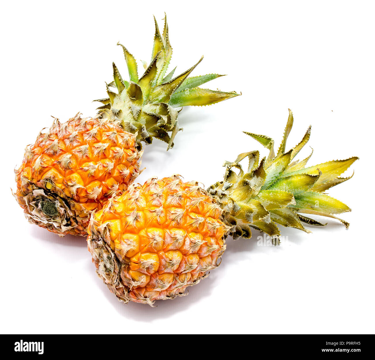 Two whole pineapples isolated on white background Stock Photo - Alamy