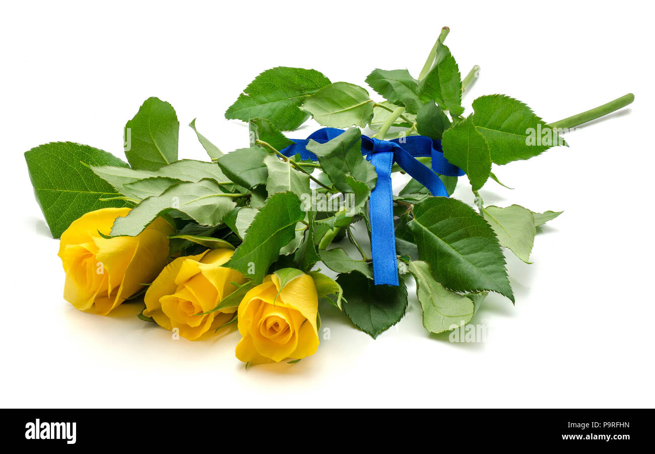 Showy indigo Cut Out Stock Images & Pictures - Alamy