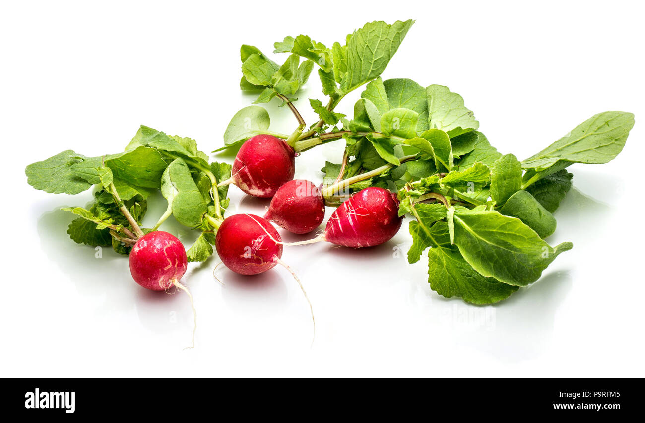 Five whole red radish with fresh green leaves isolated on white ...