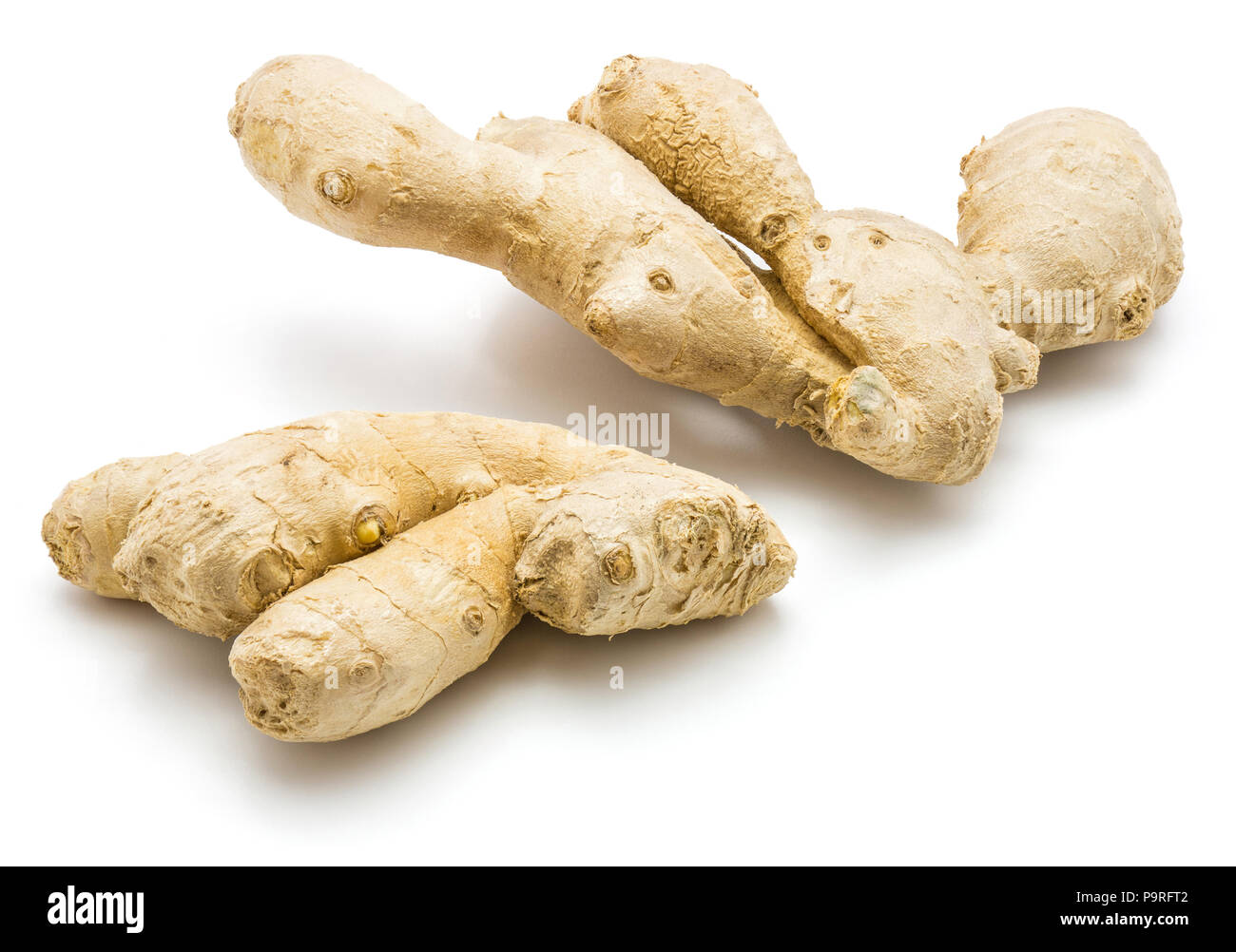 Ginger rhizome pair isolated on white background Stock Photo - Alamy