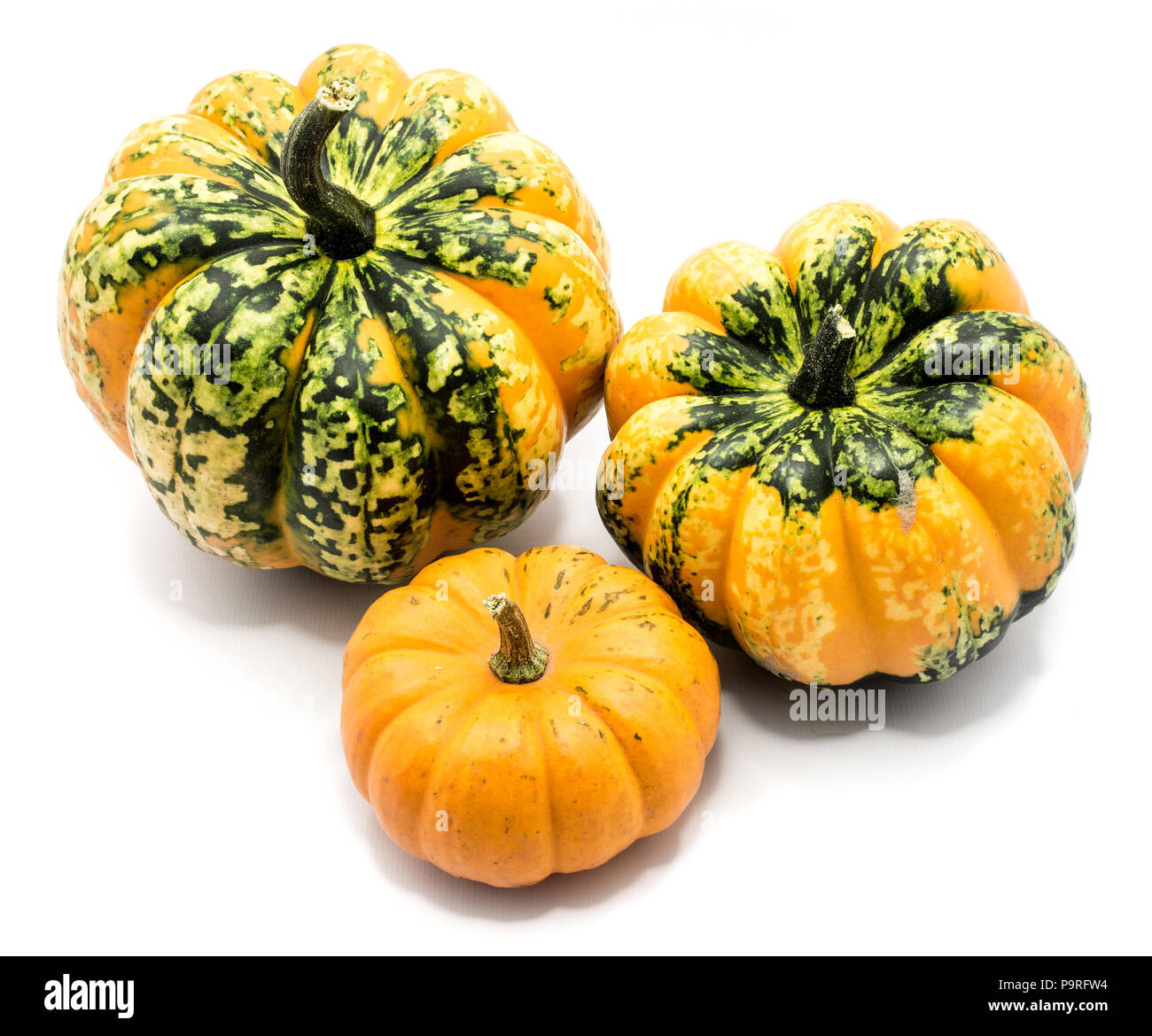 Three whole colorful pumpkin (two spotty green yellow and one yellow ...