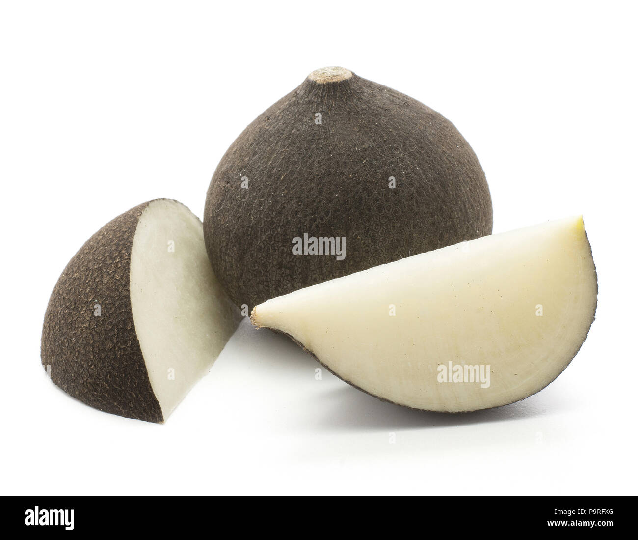 Black radish one bulb and two slices isolated on white background Stock ...