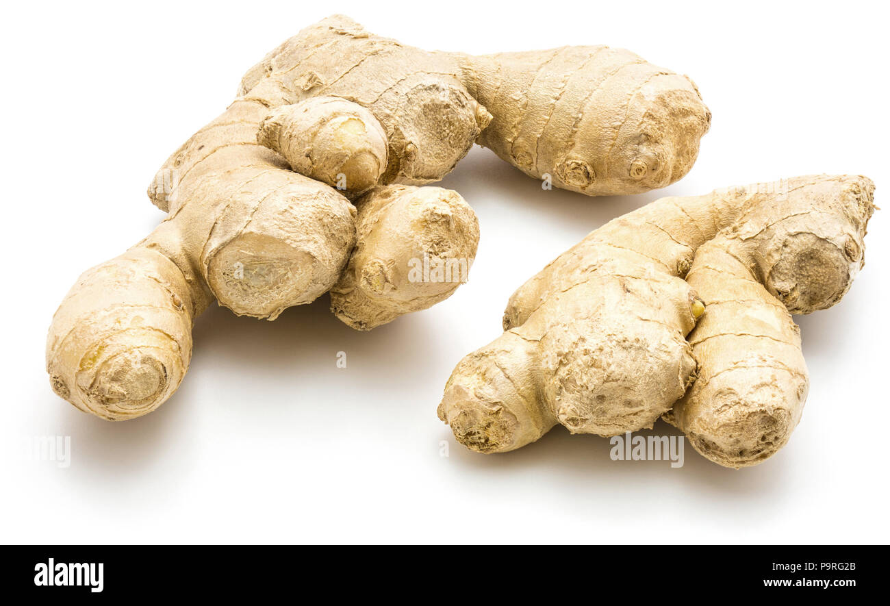 Ginger rhizome isolated on white background two roots Stock Photo - Alamy