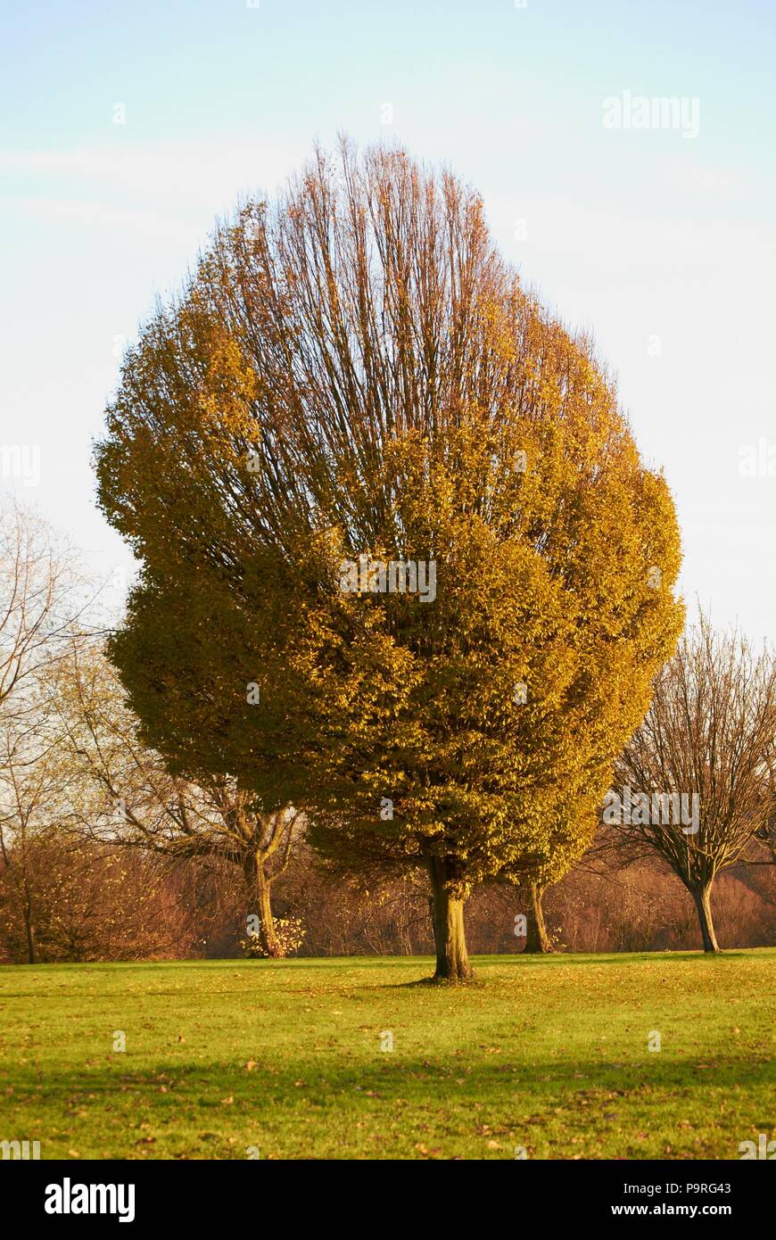 Landscapes , Flowers and wildlife Stock Photo - Alamy