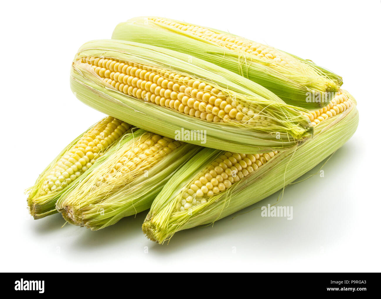 Heap of sweet corn isolated on white background Stock Photo - Alamy