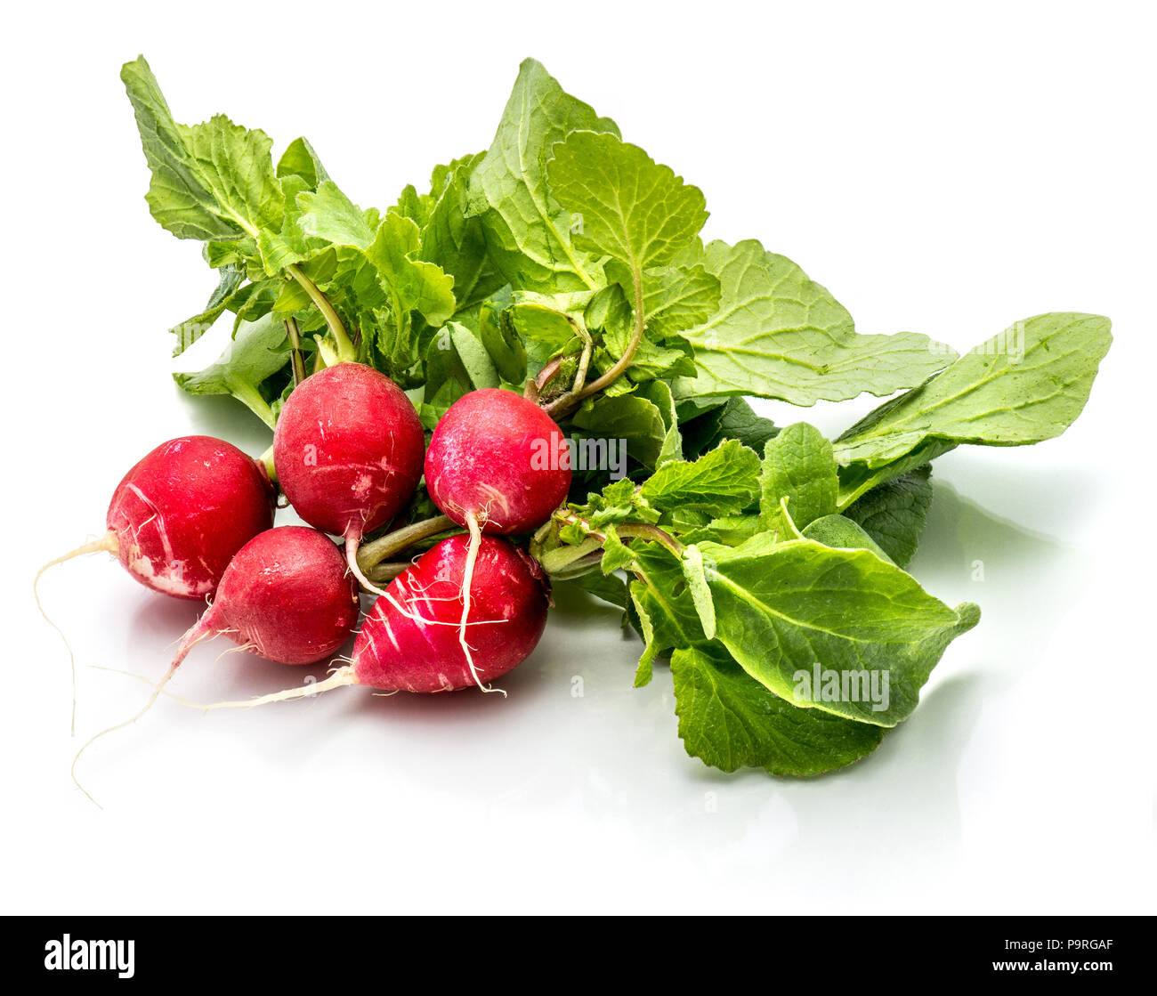 Group of five whole red radish with fresh green leaves isolated on ...