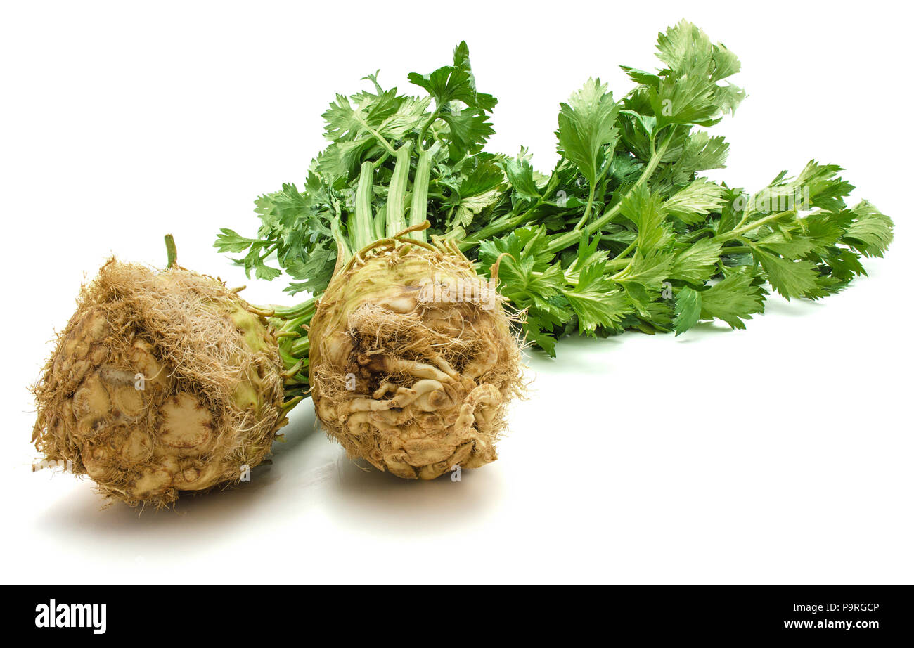 Fresh celery root with leaves isolated on white background two bulbs ...