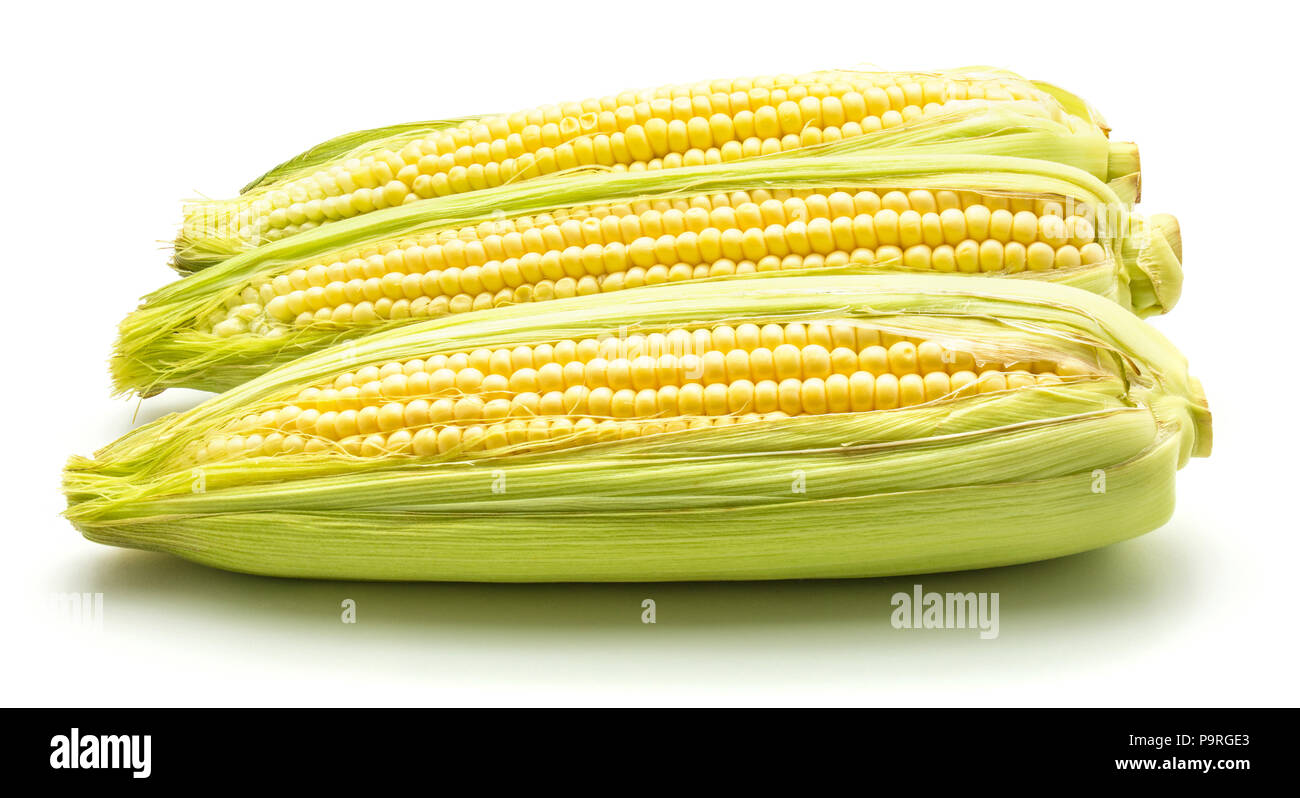 Fresh sweet corn, three ears, isolated on white background Stock Photo ...