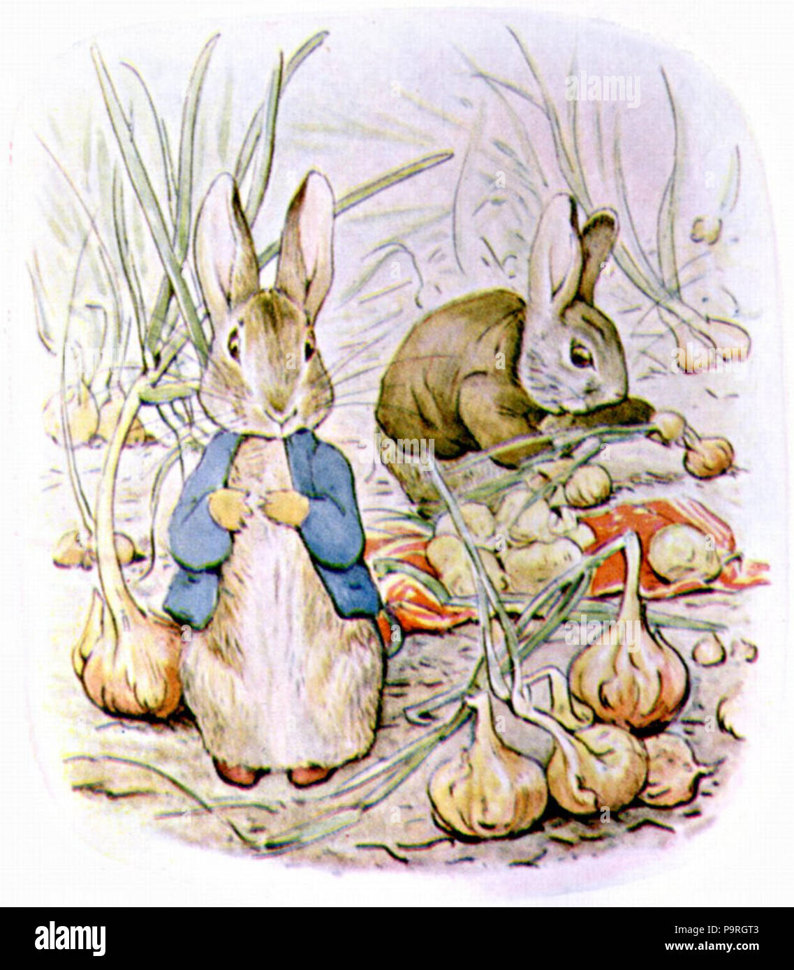 Benjamin bunny hi-res stock photography and images - Alamy