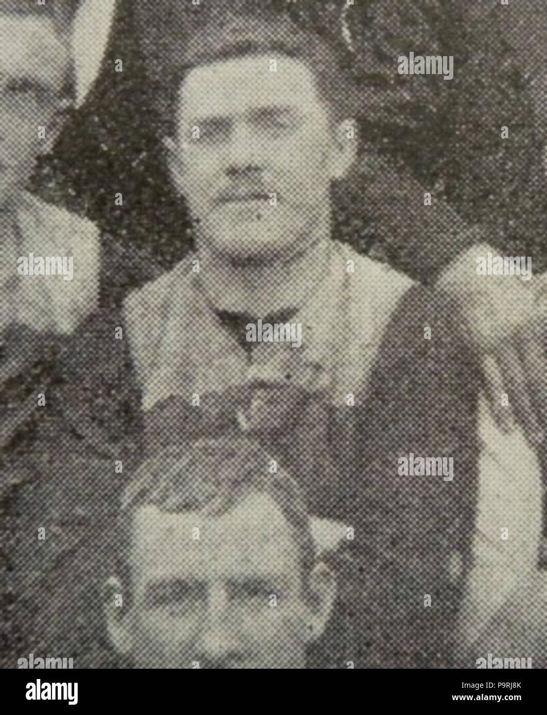 Bob bird hi-res stock photography and images - Alamy