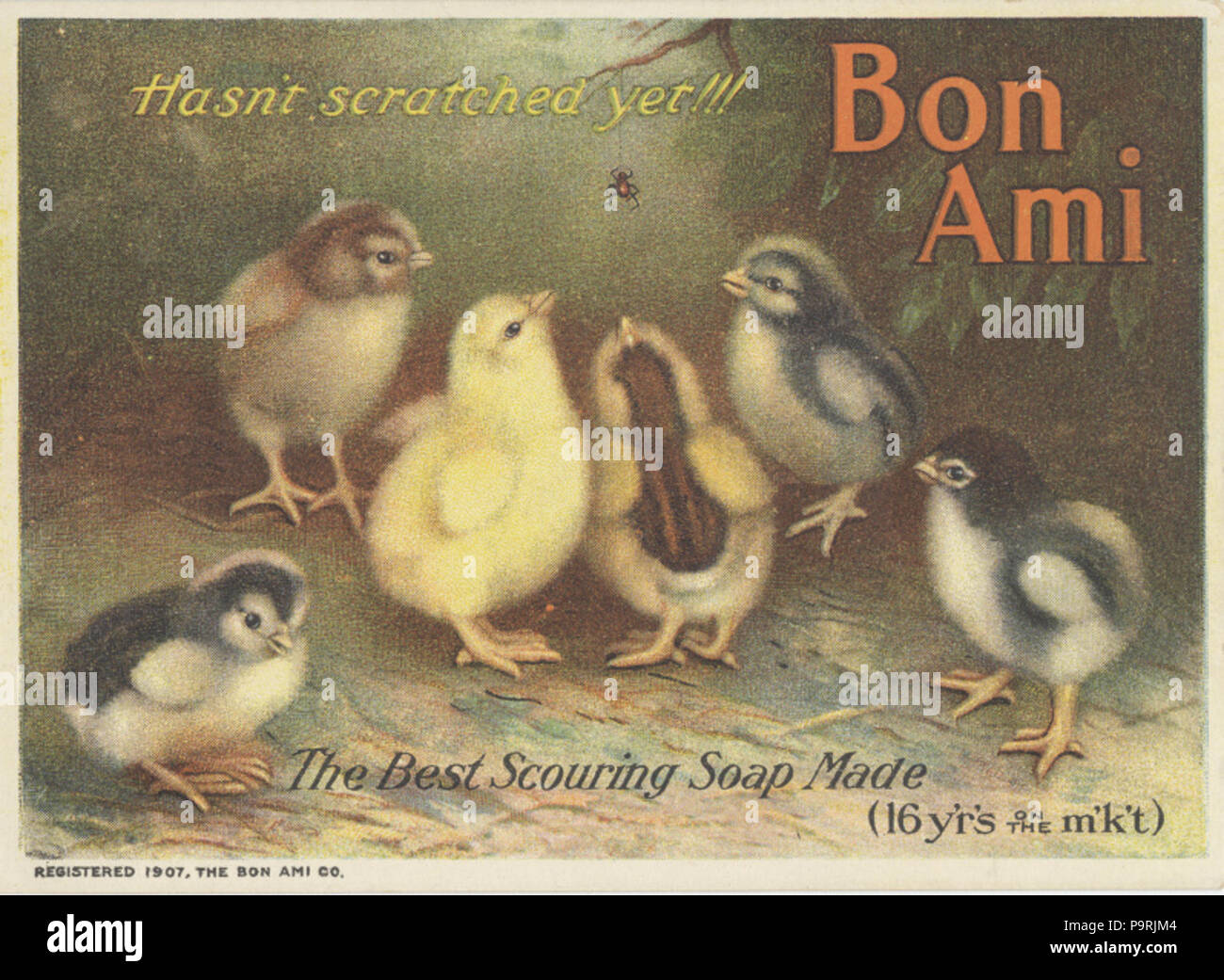 Bon ami company hi-res stock photography and images - Alamy