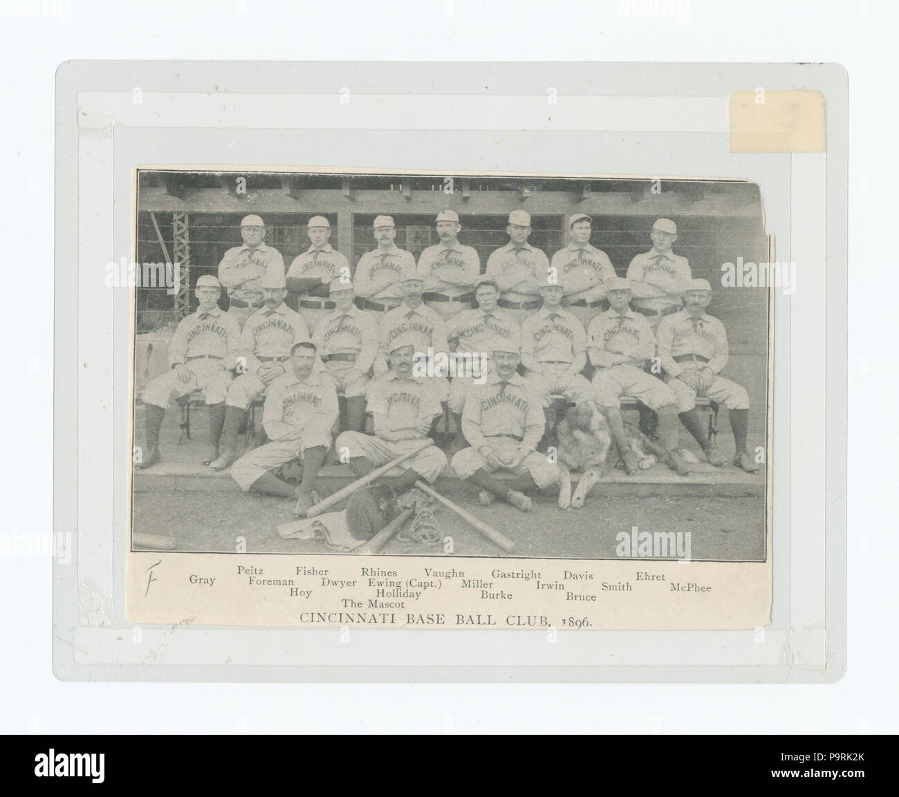American league of professional baseball clubs hi-res stock photography ...